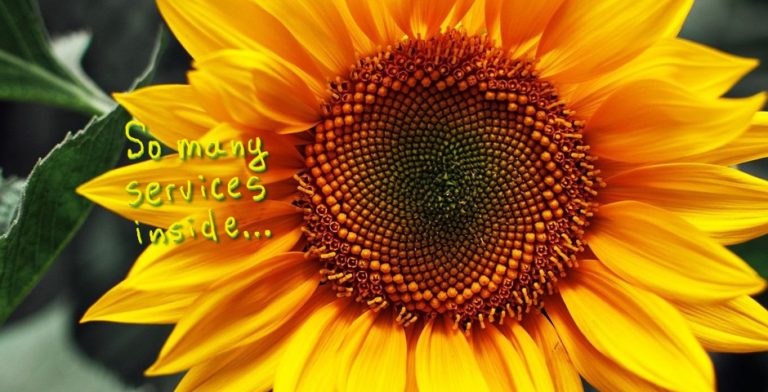 Network Analysis 1. Setting up and Getting Started with Batfish in Multivendor Network with ...