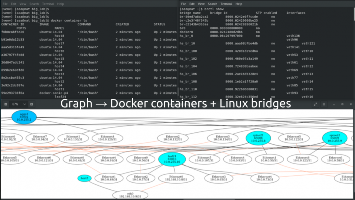 HS. Part 5. Automation at high-scale: Bringing network up (Docker SONIC-P4 and Linux bridges ...