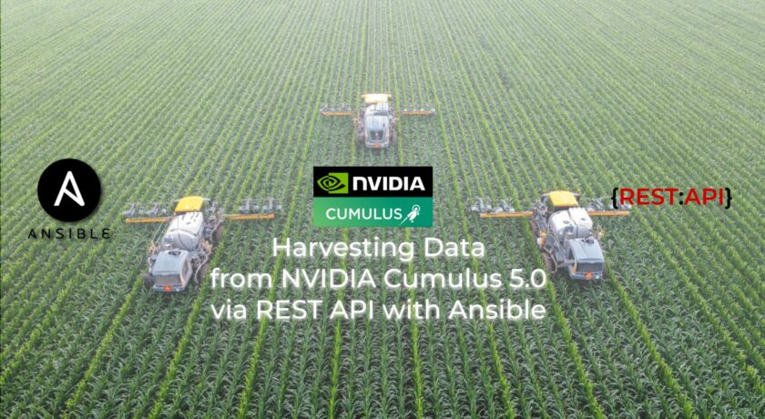 HS. Part 2. Automatic generation and visualisation of the network ...